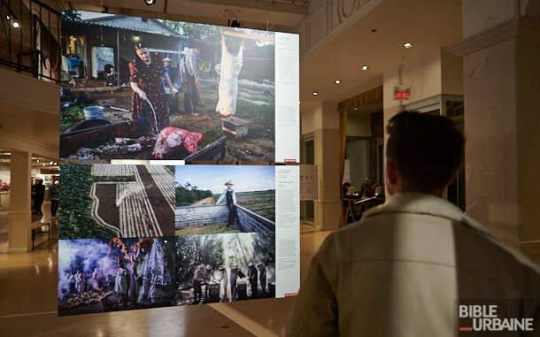 L'expo «World Press Photo Montréal 2019»: pour les amateurs d'art ...